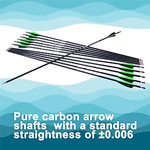 Carbon Arrows - 31 Inch Spine 500 Target Arrow with 100 Grain Removable Arrowhead for Compound Recurve Long Bows Practice & Hunting 12 Pcs