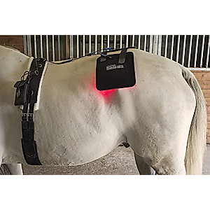Gospel's Medium Light Therapy Pad with Case