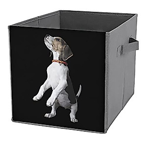 Beagle Collapsible Storage Bins Basics Folding Fabric Storage Cubes Organizer Boxes with Handles