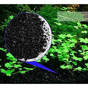 1 LB Gorgeous Aquarium Decoration - Aquarium Black Bottom Sand - Succulents Pavement