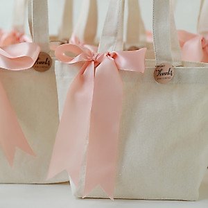 Generic 10×8×3 Inch - Small Canvas Tote Bags for Kids Mini Gift Bags Bulk for Painting DIY Arts & Crafts Thick Fabric Bland Bags (20, Beige)