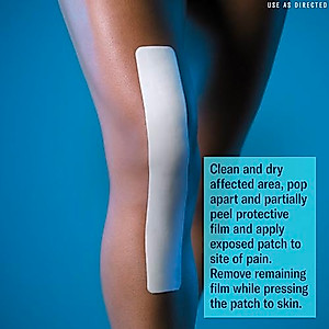 Biofreeze Pain Relief Flexible Strips Pre-Cut, 4Ct. Pain Relief for Sore Muscles, Arthritis, Backaches, Sore Joints, Sprains, Strains, and Bruises (Packaging May Vary)