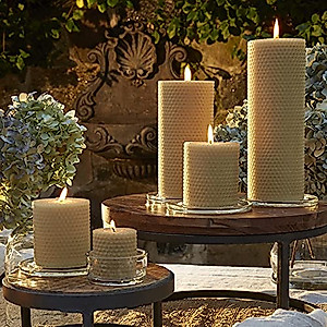 Hand Rolled Beeswax Pillar Candles by Little Bee of Connecticut (6 x 5 Inch Triple Wick)