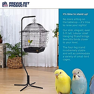 Prevue Hendryx Tubular Steel Hanging Bird Cage Stand 1780 Black, 24-Inch by 24-Inch by 62-Inch