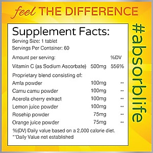 ABSORBABLE Vitamin C 500 mg with Rose Hip and 6 Natural Vitamin C Sources, Science Backed Proprietary Blend 60 Tablets