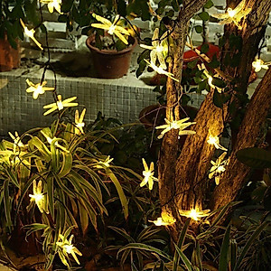 AMZSTAR Dragonfly Solar String Lights Outdoor, 19.7ft 8Modes 30 LED Waterproof Fairy Lights for Indoor/Outdoor Home Garden Lawn Fence Patio Party and Holiday Decorations (Warm White)