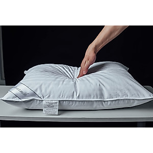 Eastwarmth Goose Feather Blend with Polyester Bed Pillows 100% Cotton, Medium Soft Soft Support Standard Pack of 1, Stripe White