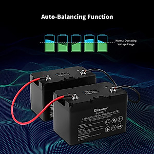 Renogy 2 Pack Smart Lithium-Iron Phosphate Battery 12V 100Ah w/Self-Heating Function for RV, Solar, Marine, and Off-Grid Applications