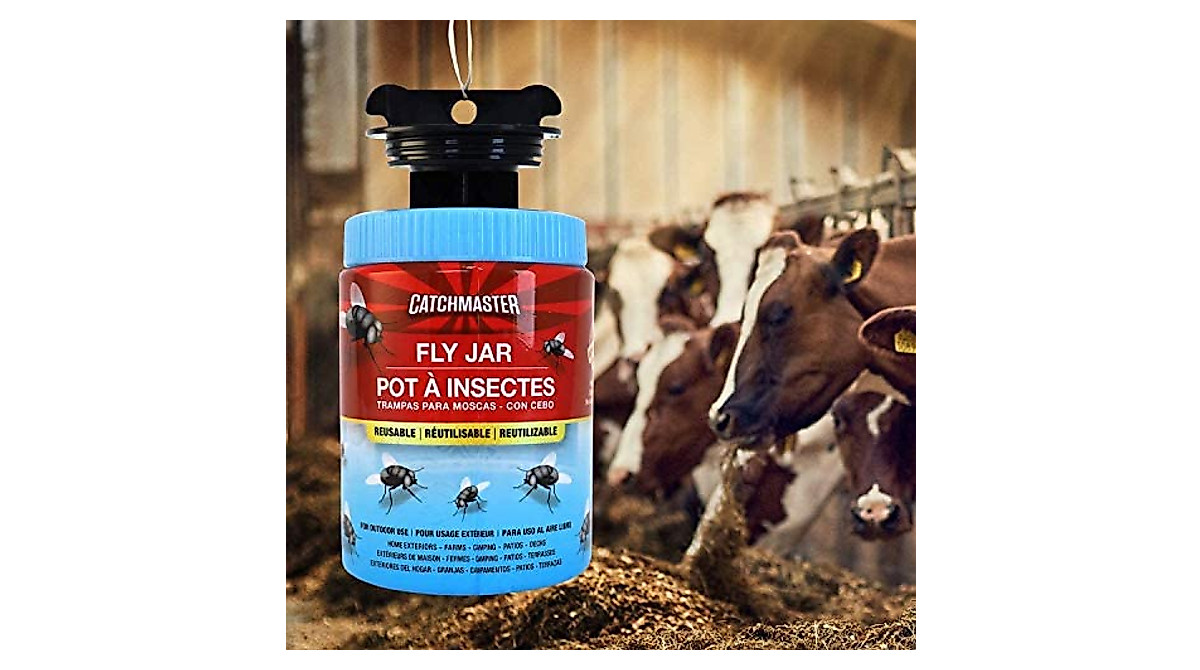 Reusable Trap Fly Jar by Catchmaster - 6 Count, Ready to Use Outdoors ...