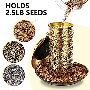 Enhon 2 Pack Solar Bird Feeder for Outdoors Hanging, Metal Wild Bird Feeder for Cardinals, Weather Resistance Solar Backyard Garden Lantern Light Decoration with S Hook as Gift Ideas for Bird Lovers