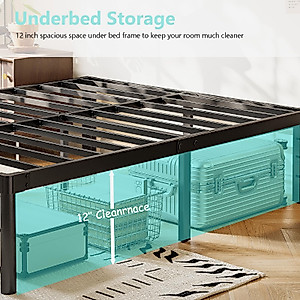 Viisari Queen Bed Frame 14 Inch Metal Heavy Duty Platform No Box Spring Needed Easy Assembly Noise Free Black