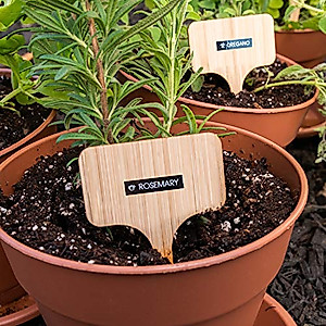 Brother Genuine P-touch TZE-315 Tape, 1/4" (0.23") Wide Standard Laminated Tape, White on Black, Laminated for Indoor or Outdoor Use, Water-Resistant, 0.23" x 26.2' (6mm x 8M), Single-Pack, TZE315