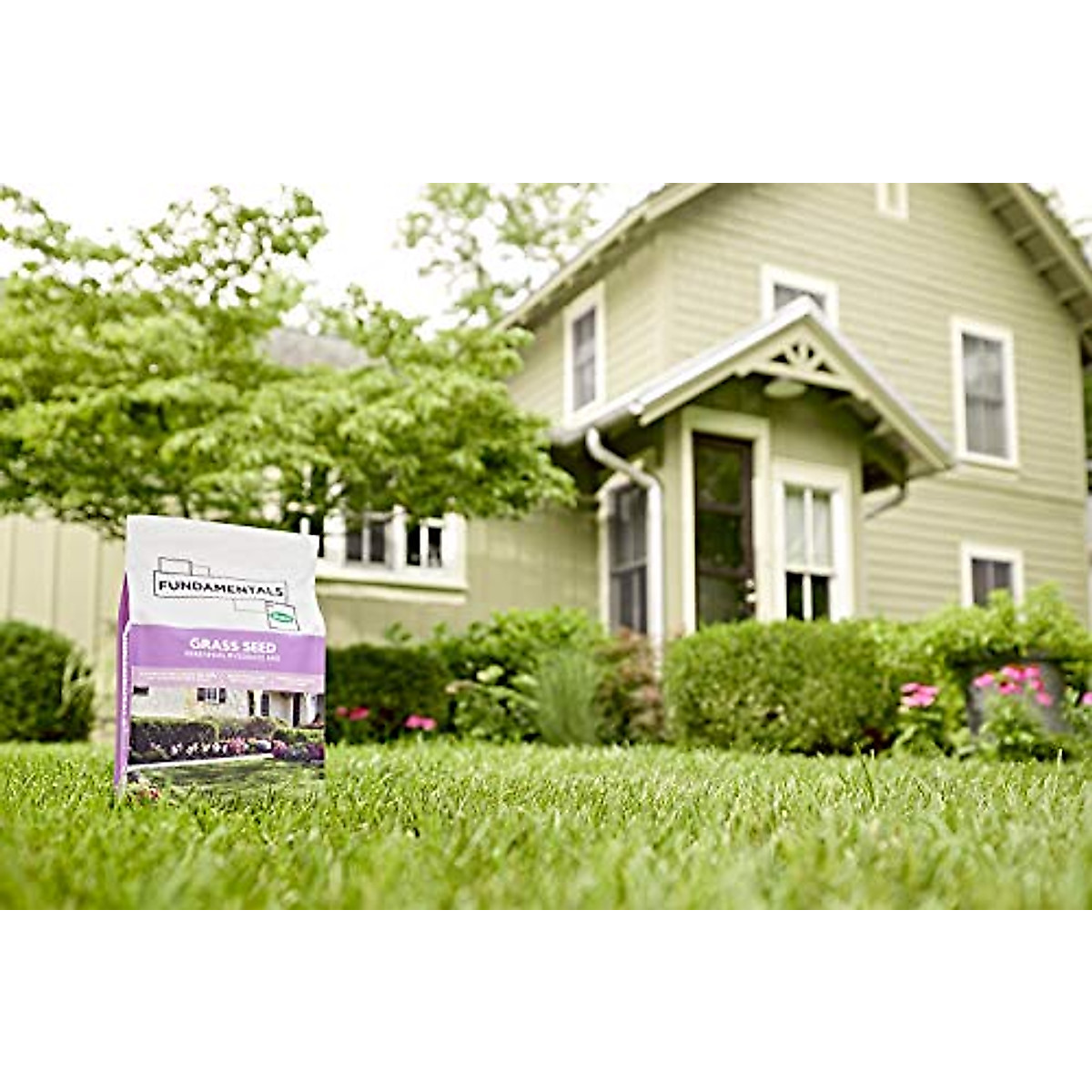 Fundamentals by Scotts Grass Seed Perennial Ryegrass Mix, Ideal for Sunny, High Traffic Areas and Erosion Control, 3 lbs.