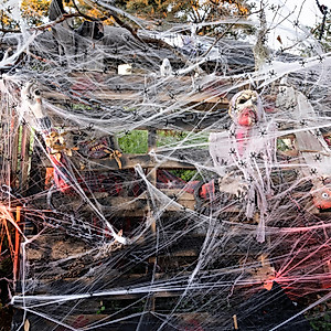 Hompavo 【Upgraded】 1000 sqft Spider Webs Halloween Decorations with 30 Extra Fake Spiders, Realistic Stretchy Cobwebs Halloween Decor for Indoor Outdoor Party Supplies