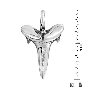 AeraVida Dazzling Shark Tooth .925 Sterling Silver Pendant | Casual Pendant Unisex Jewelry | Modern Jewelry Gift