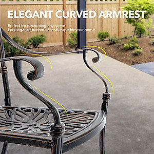 Patio Dining Chairs Set of 2, Elizabeth Outdoor Cast Aluminum Patio Chairs Weather Resistant with Thicker Cushions for Patio Deck Garden…