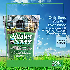 WaterSaver Grass Mixture with Turf-Type Tall Fescue Used to Seed New Lawn and Patch Up Jobs-Grows in Sun or Shade, 10 lbs-Covers 1/20 Acre