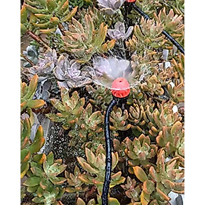 1/4" Drip Irrigation Emitters, Yulaiyoen 1/4-inch Spray Emitters 30 Pack, Automatic Drip Irrigation Parts Accessories, 360 Degree Drip Irrigation Sprinkler Heads Sprayer for Irrigation System