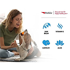 Petkin Paw Wipes Plus, 200 Orange Scented Wipes, 2 Pack - Absorbent Pet Paw Wipes Remove Daily Dirt & Odors - Enriched with Paw Balm Protectant -Easy to Use Pet Wipes for Dogs, Cats, Puppies & Kittens