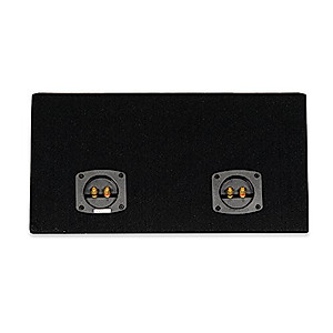 Goldwood TR8D 8" Dual Sealed Car Box Speaker Cabinet