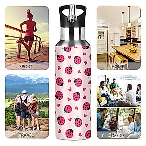 Cute Ladybugs and Hearts Insulated Water Bottle with Straw, Stainless Steel Sports Water Bottles, Double Wall Vacuum, Leakproof, BPA-Free 20 oz