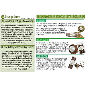 Meowy Janes Matatabi Chew Sticks - An All Natural Silvervine Cat Toy and Cat Treat - Catnip Alternative