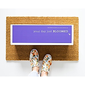 From You Flowers - One Dozen Festive Roses with Glass Vase (Fresh Flowers) Birthday, Anniversary, Get Well, Sympathy, Congratulations, Thank You