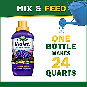 Espoma Organic Violet! 8-Ounce Concentrated Plant Food – Plant Fertilizer and Bloom Booster for All Violets and Indoor Flowering Plants. Promotes Vigorous Growth and Blooming.