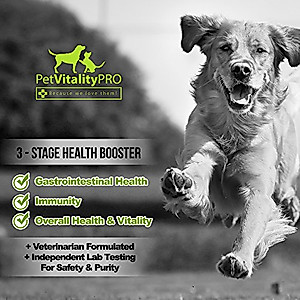PetVitalityPRO Probiotics for Dogs with Natural Digestive Enzymes ● 4 Bill CFUs/2 Soft Chews ● Dog Diarrhea Upset Stomach Yeast Gas Bad Breath Immunity Allergies Skin Itching Hot Spots ● 60 Count