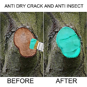 Bonsai Pruning Cutting Paste 3.5 oz. (100g) - Tree Wound Dressing