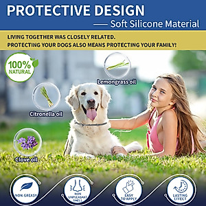 4 Pack Flea Collar for Dogs, 8 Months Flea and Tick Collar for Dogs Puppies, Flea and Tick Prevention for Dogs, Adjustable Waterproof Dog Flea Collar, Dog Flea Tick Treatment-Black Blue Pink Orange