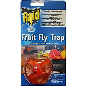 Raid FFTA Fruit Fly Trap, Red, 1 Trap