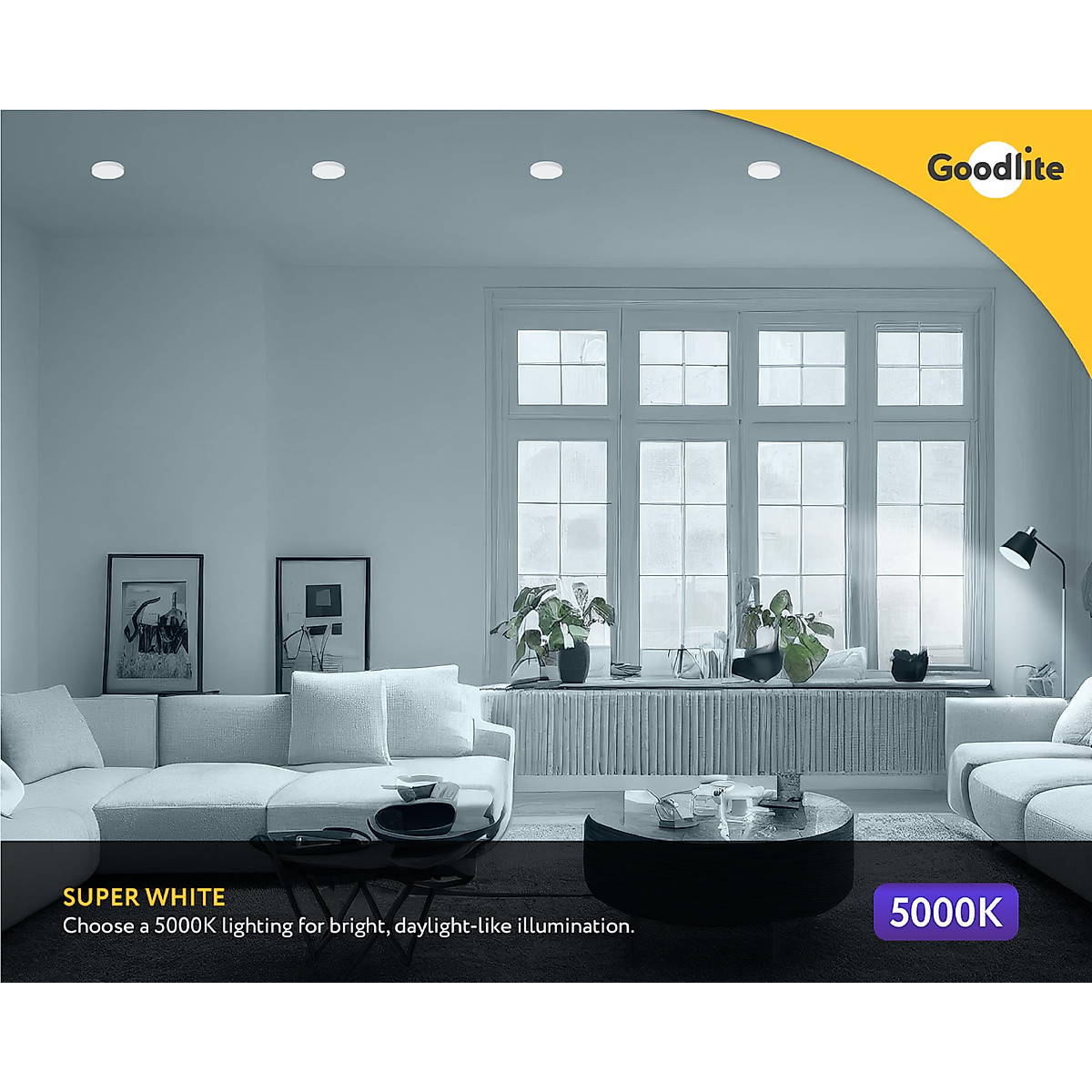 Goodlite G-19752 Edison LED 4.5 W Bulb E26 Base T10 Shape 60 W Equivalend 500 Lumens Filement Super White 5000k Dimmable