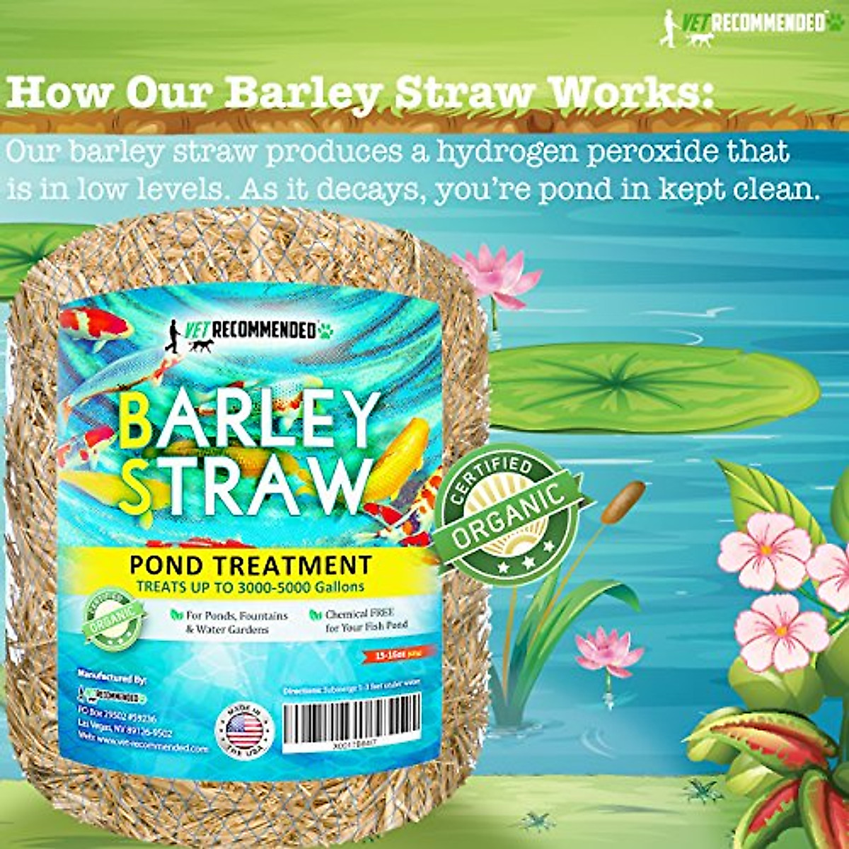 Vet Recommended Barley Straw for Fish Ponds and Fountain (16 Oz). Treats up to 3000 to 5000 Gallons, 100% Safe & Natural Pond Cleaner. Keeps Your Water Garden Clean & Fresh. Made in USA