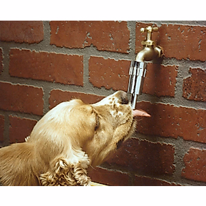 Lixit L100 Water Faucet Automatic Fountain for Dogs and Other Pets. (Pack of 1)