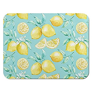 Dish Drying Mats for Kitchen Counter, Absorbent Quick Dry Dish Mat Drying Kitchen Mat, Non-Slip Rubber Backed Lemon Kitchen Drying Mat 18"X24"