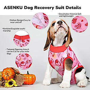 ASENKU Valentine's Day Dog Onesie Pet Pajamas, Dogs Recovery Suit for Dogs Cats After Surgery, Dog Pajamas Outfit Bodysuit for Small Medium Large Dog Cat Costume (Valentine's Day, 2XL)