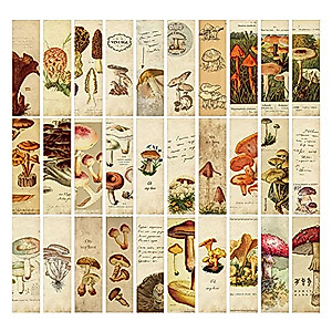 Vintage Natural Style Forest Story Series Bookmarks (Mushrooms)