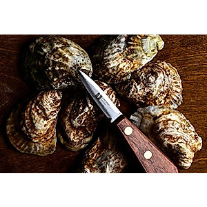 R. Murphy/Ramelson Wellfleet Oyster Knife Seafood Shucker - High Carbon Steel - Made in the USA