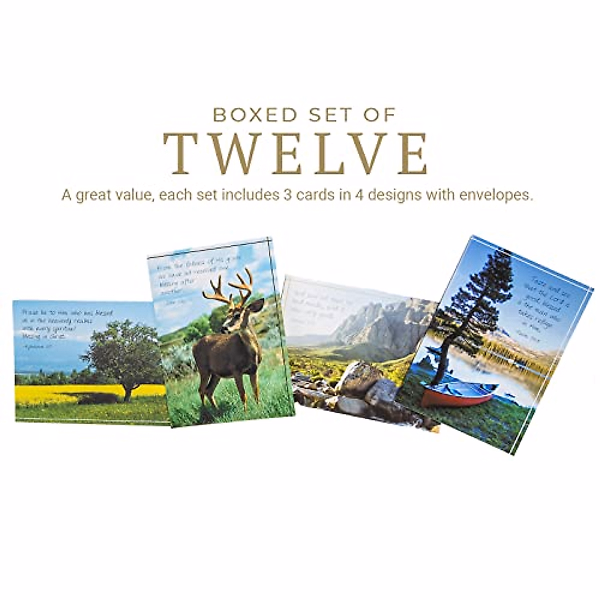 Divinity Boutique Assorted Birthday Cards for Him - 4 Design Birthday Card Assortment with Scripture for Men, Dad, Son and Husband - Set of 12