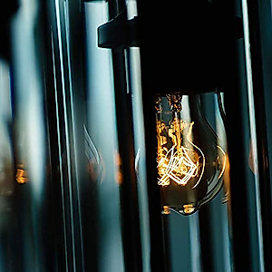 4-Pack Edison Light Bulb, 60 Watts, A19 Vintage Incandescent Light Bulbs, Dimmable Old Fashioned E26 Incandescent Light Bulbs, 240 Lumens, 2100K Warm White, Amber Glass