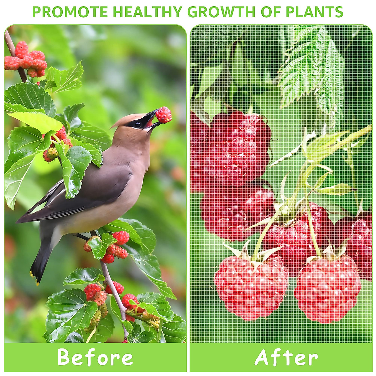 MIXC 6 Packs 3 Size Insect Netting Bag, Garden Bird Barrier Mesh Covers Bags With Drawstring, Bug Netting Plant Protection Covers Bags For Blueberry Tomato Vegetable Form Cicadas Bird Squirrels Eating