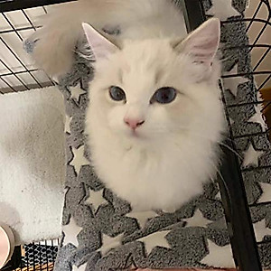 Bunny Warm Bed Mat Soft 20.1"x12.2" Hamster Plush Pad Small Animal Winter Sleep Bedding Mat Washable Bed House Nest Accessories for Bunny Hamster Guinea Pig Squirrel Hedgehog Chinchilla(2pcs)