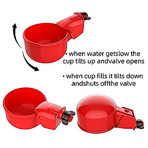 Complete Set of Chicken Waterer and 1/2" PVC T-Pieces, Chicken Waterer Feeder Duck Quail Feeder, Automatic Chicken Watering System, Chicken Nipple Water Cup, Chicken Watering Cups