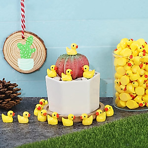 LOUHUA Mini Ducks 220 Pack Tiny Duck Figurines Bulk for Miniature Dollhouse Decor Accessories Garden Aquarium Potted Ornament Party Toys DIY Craft Office Classroom Activity to Hide