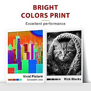 210XL Black Remanufactured Ink Cartridge Use for Canon PIXMA MP490 MP495 MP250 Printer 210XL Ink (2 Pack)