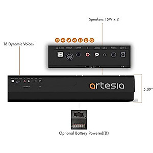 Artesia PA-88H 88-Key Weighted Hammer Action Digital Piano with Sustain Pedal and Power Supply (Black)