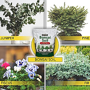 Harris Bonsai Soil, All Purpose Premium Blend for Outstanding Growth, 2qt