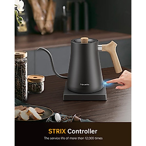 Fabuletta Gooseneck Electric Water Kettle, 3 Minutes Quick Heating, 1200W Pour Over Kettle for Coffee & Tea, Precise Water Flow Control Hot Water Boiler, 100% Stainless Steel Water Boiler