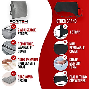 FORTEM Chair Seat Cushion (Velour, Grey) + Lumbar Support